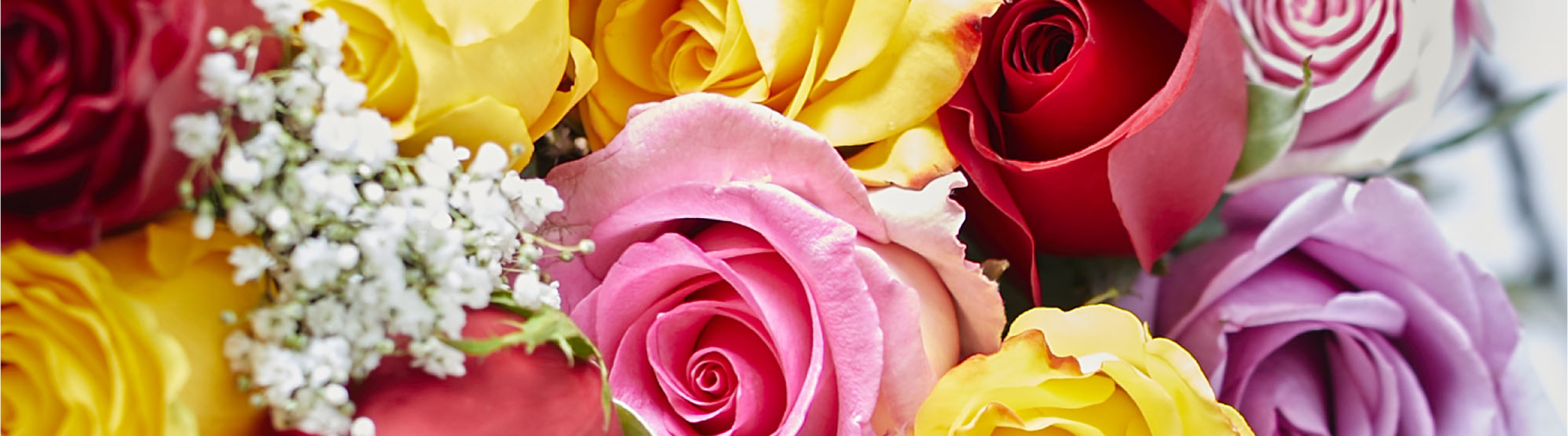 Fresh Floral Arrangements & Same-Day Delivery | Forest of Flowers